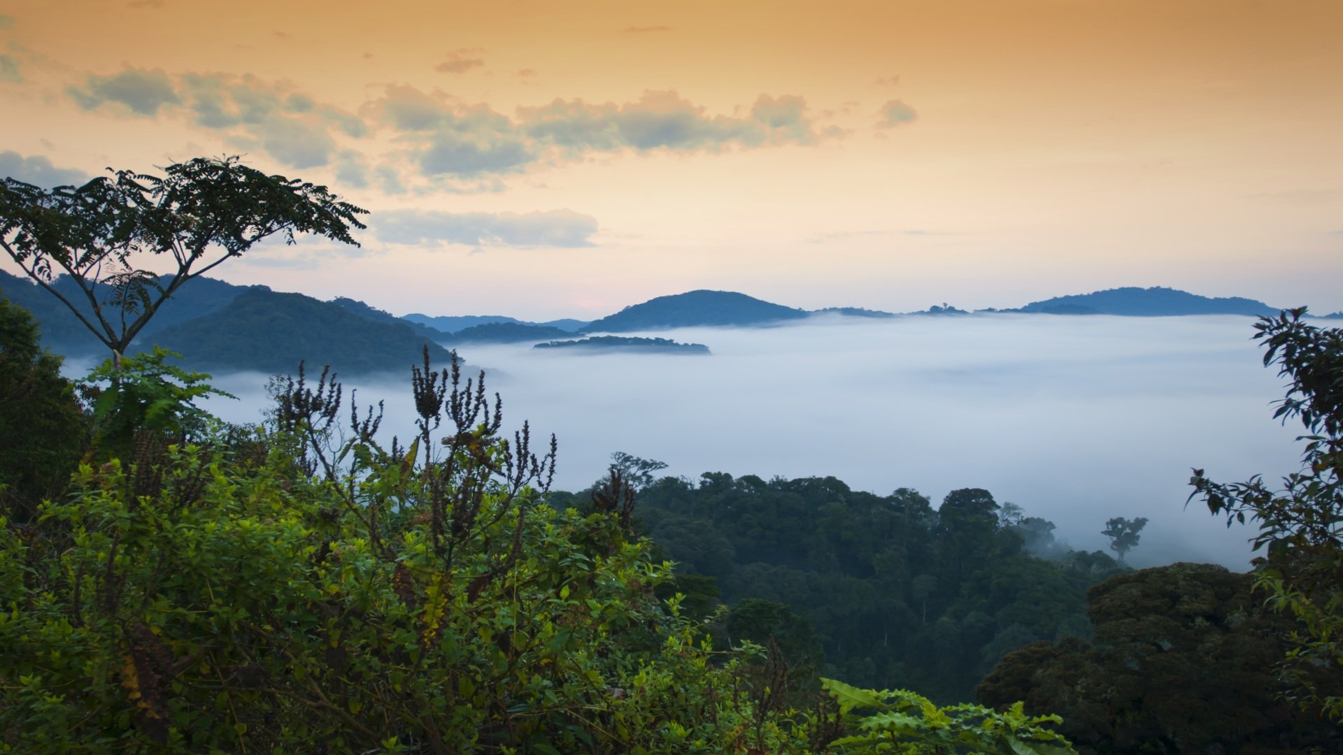 Ruanda Individualreisen